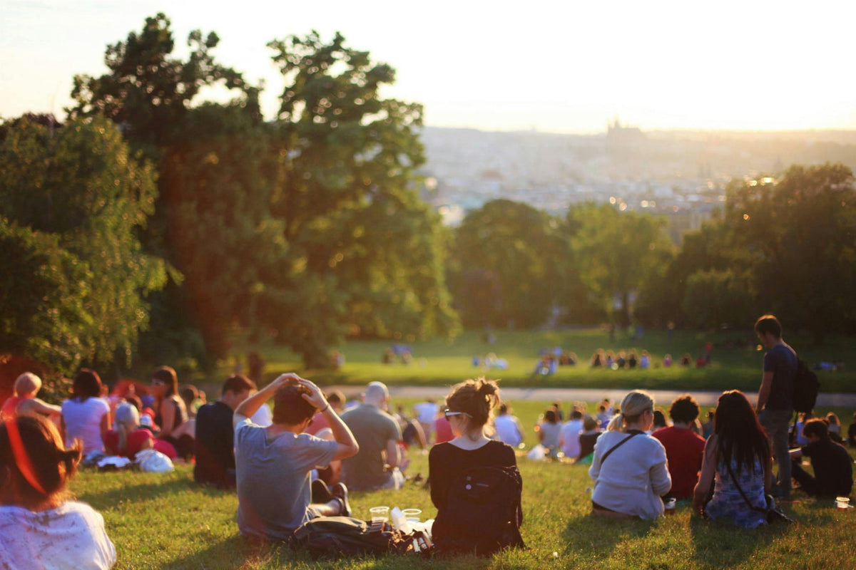 How Peer Support Benefits Disabled Individuals – Inclusive Art House